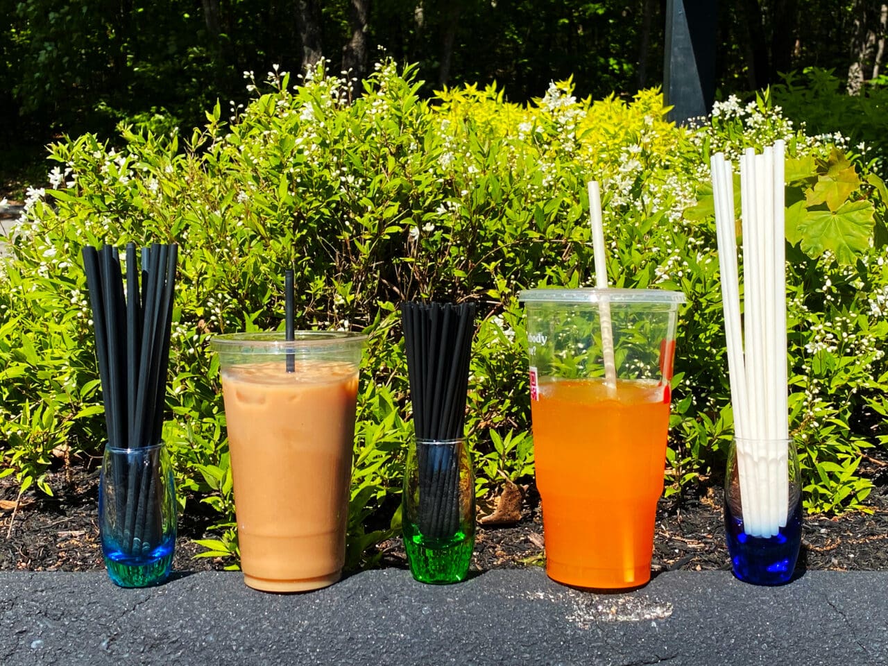 Understanding Compostable & Biodegradable Straws | UrthPact