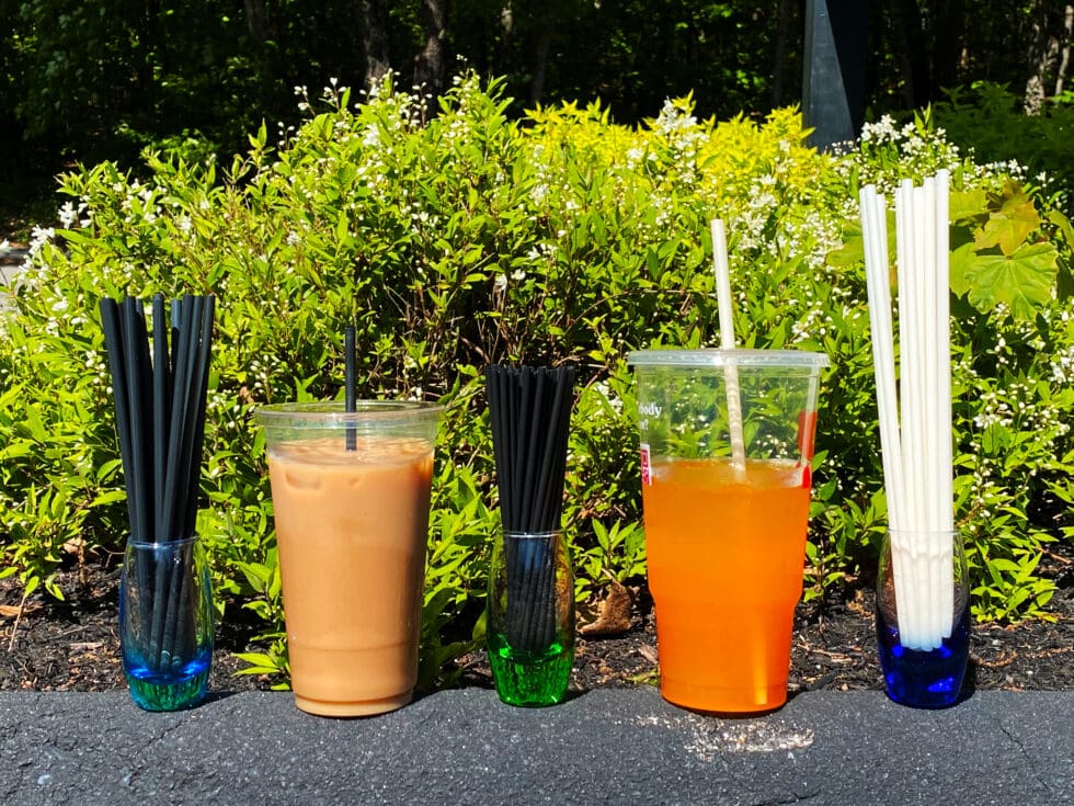 Understanding Compostable & Biodegradable Straws | UrthPact