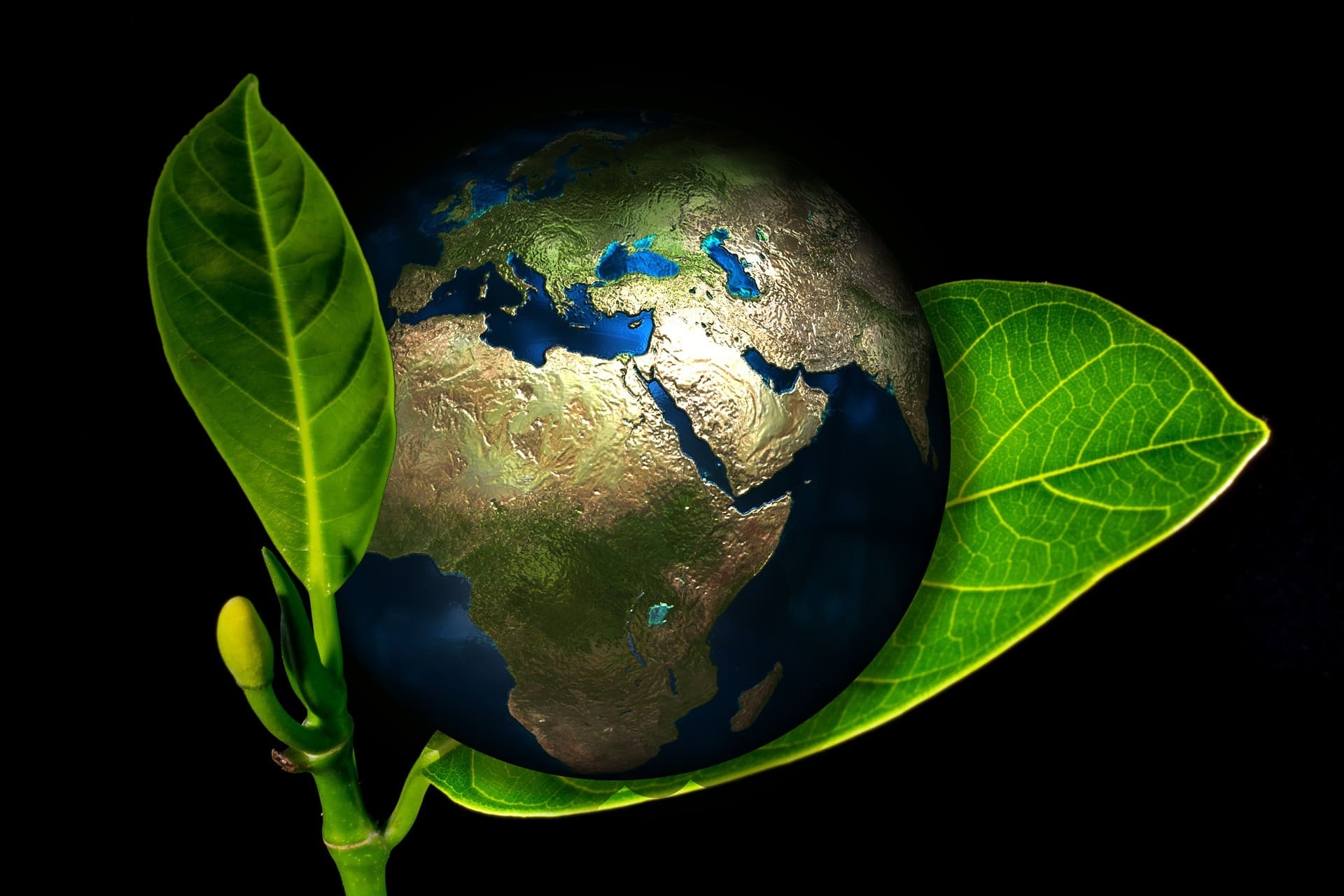 Avoiding Greenwashing: How to Identify Truly Sustainable Products