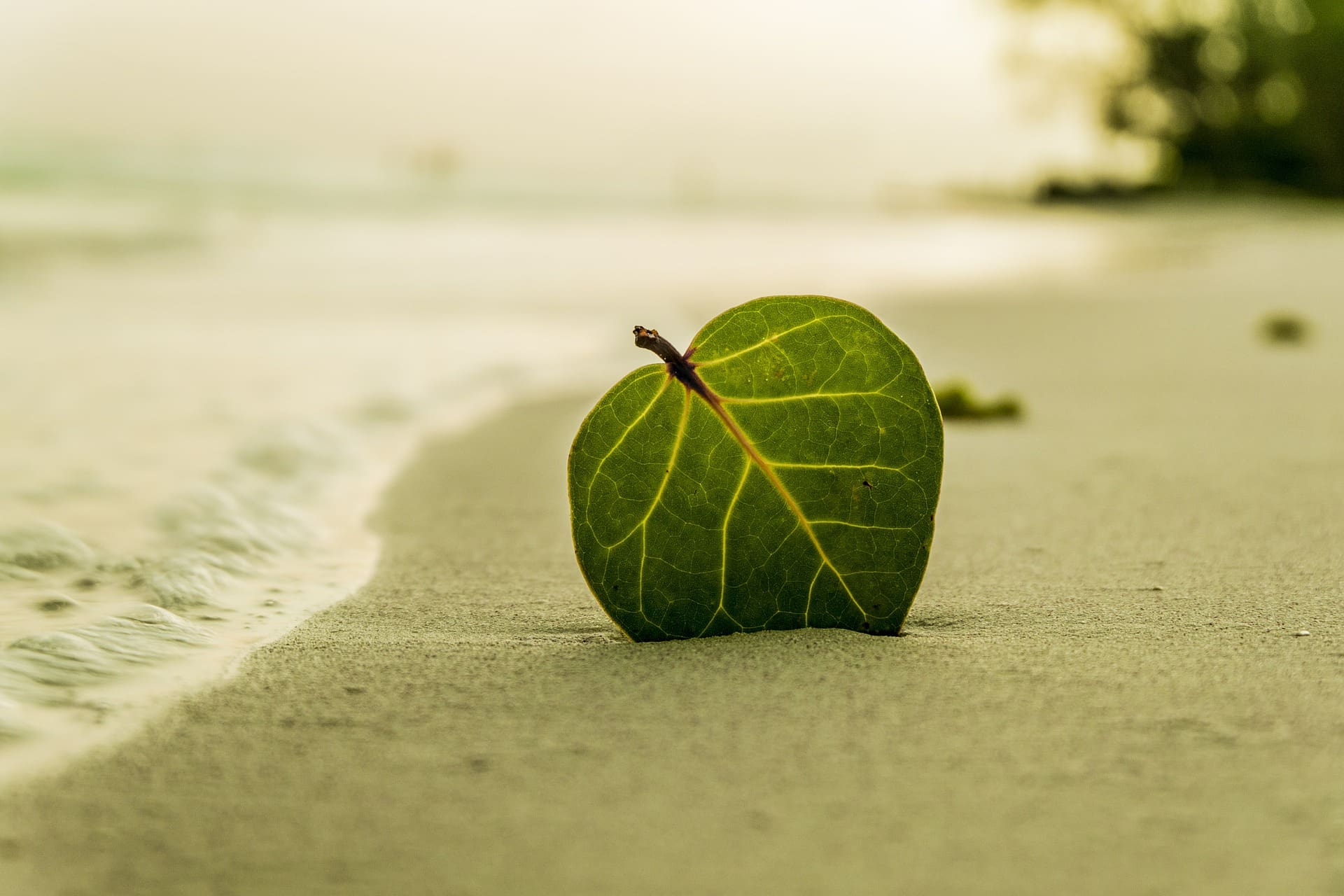 UrthPact Products Protect Every Part of Our Planet – Oceans Included